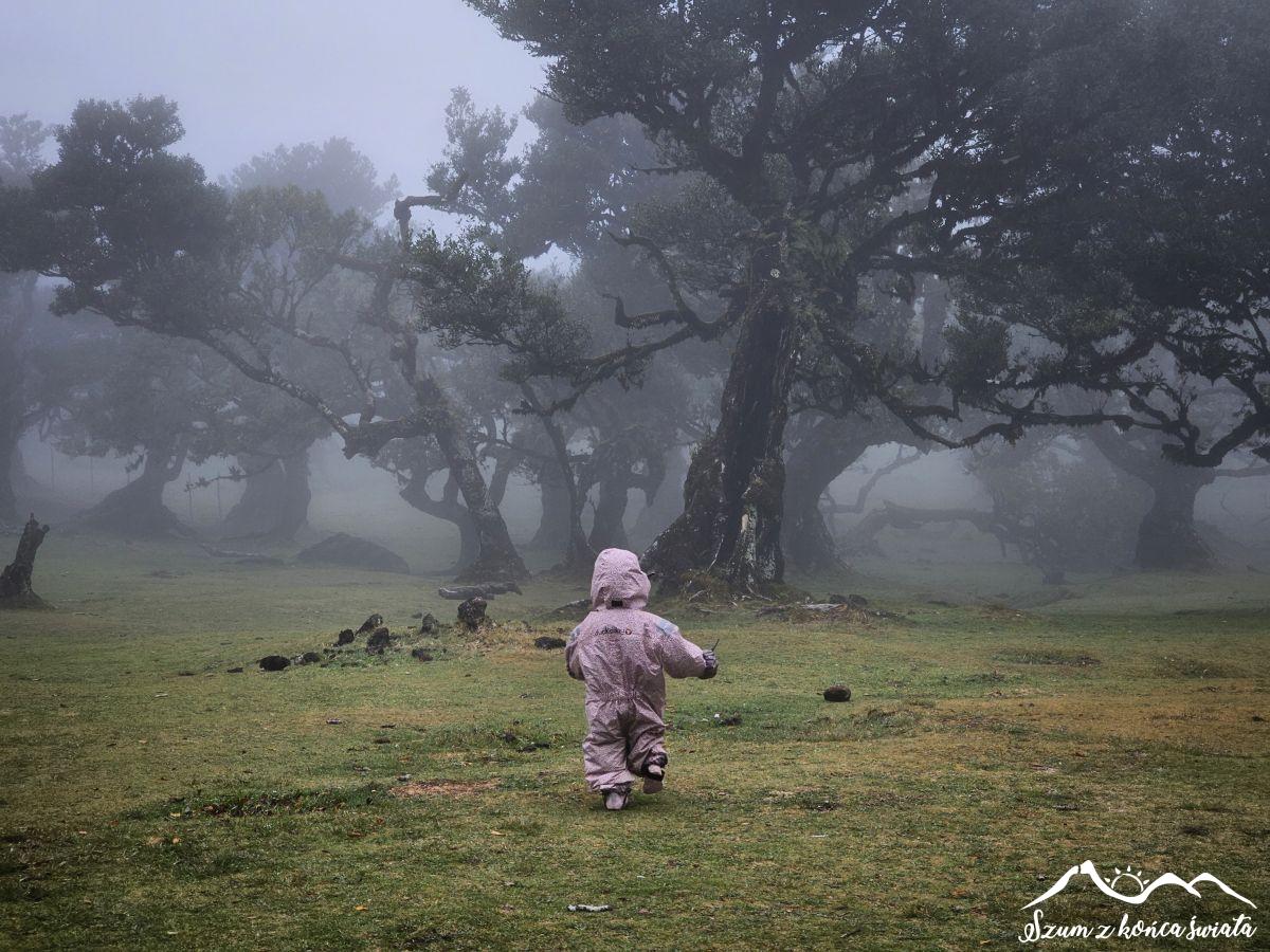 Co zobaczyć na Maderze? Madera atrakcje - TOP 10 - Szum z Końca Świata